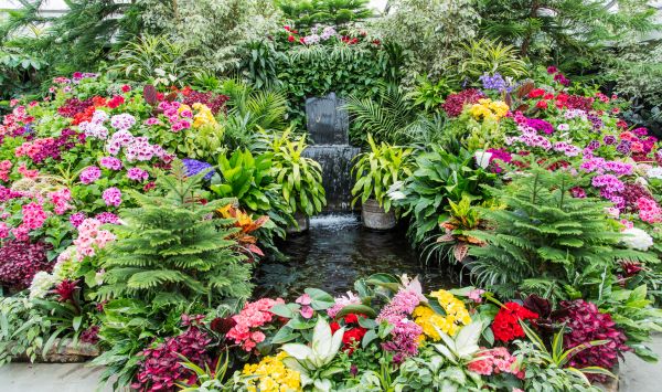 Floral Landscape Design, Botanical Garden Design, and Garden Landscape ...